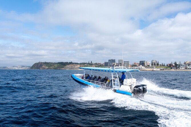 Humpback Whale Encounter Tour from Newcastle - Detailed Itinerary and Experience Breakdown