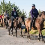 Hveragerdi: The Siggi Horse Riding Tour - Final Thoughts