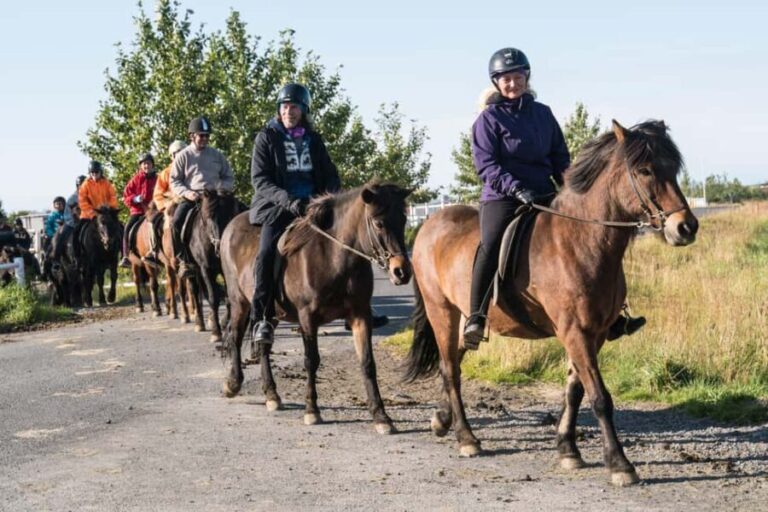 Hveragerdi: The Siggi Horse Riding Tour - Final Thoughts
