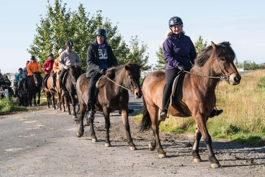Hveragerdi: The Siggi Horse Riding Tour - Final Thoughts