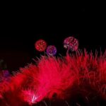 IBIZA: Astro Magic Lights at Bibo Park - The Space Journey and Planetarium Projections