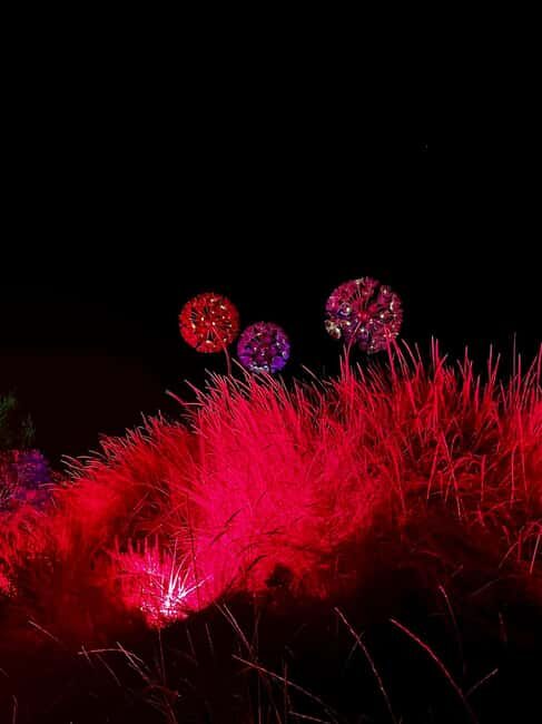 IBIZA: Astro Magic Lights at Bibo Park - The Space Journey and Planetarium Projections