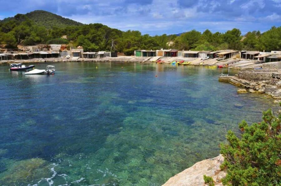 Ibiza: Buggy Excursion to Explore Beaches and Unique Views - What Makes This Tour Special?