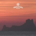 Ibiza: Formentera Sailing w/BBQ, Open Bar & Water Activities - In The Sum Up