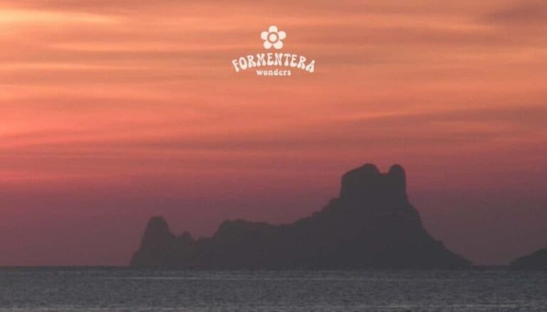 Ibiza: Formentera Sailing w/BBQ, Open Bar & Water Activities - In The Sum Up