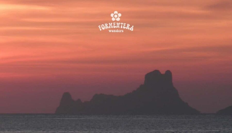 Ibiza: Formentera Sailing w/BBQ, Open Bar & Water Activities - In The Sum Up