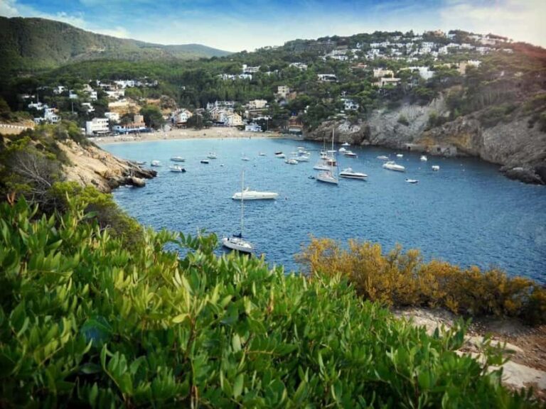 Ibiza: Land & Sea Adventure by BUGGY + PADDLE SURF - Sanctioned Stops and Scenic Highlights