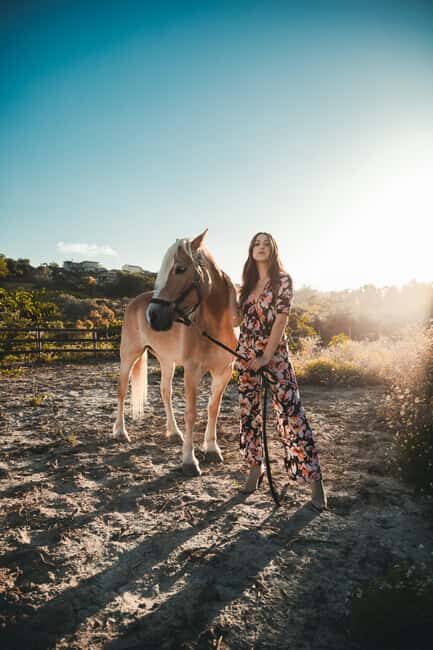 Ibiza: Private Horseback Ride + Picnic + Transport - The Transport and Logistics