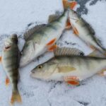 Ice-Fishing by Foot on Lake Ylläsjärvi - A Deep Dive into the Experience