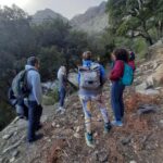 Ikaria: Hiking Tour on the Greek Blue Zone Island - What Travelers Say: Authentic Experiences and Practical Tips