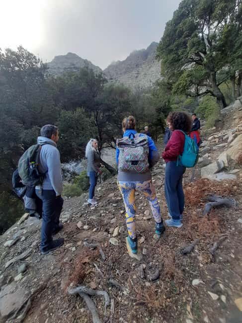 Ikaria: Hiking Tour on the Greek Blue Zone Island - What Travelers Say: Authentic Experiences and Practical Tips