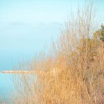 Ikaria Longevity: Forest Pilates, Monastery & Family Winery - What Makes This Tour Stand Out?