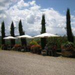 Il Molino di Grace: Vineyard & Cellar Tour with Wine Tasting - What Makes This Tour Stand Out
