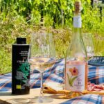 Il Molino di Grace: Vineyard Tour, Wine Tasting, and Picnic - Cost and Value