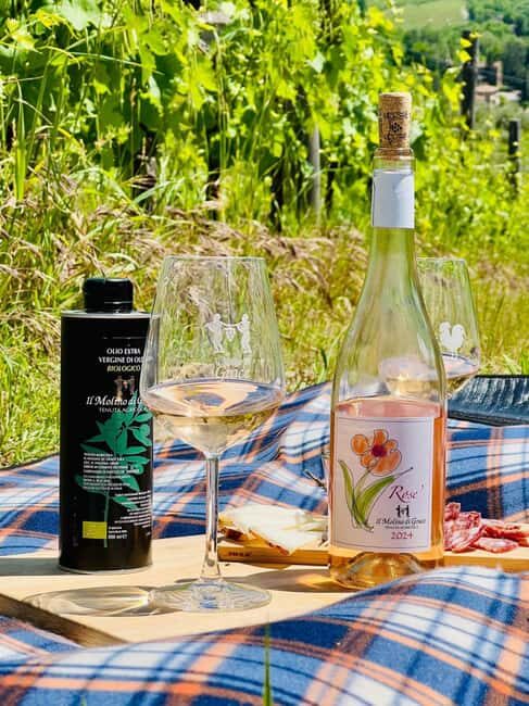 Il Molino di Grace: Vineyard Tour, Wine Tasting, and Picnic - Cost and Value