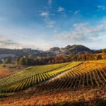 Il Monsù: A Journey through Nebbiolo, Barbaresco, and Barolo - Who will love this experience?