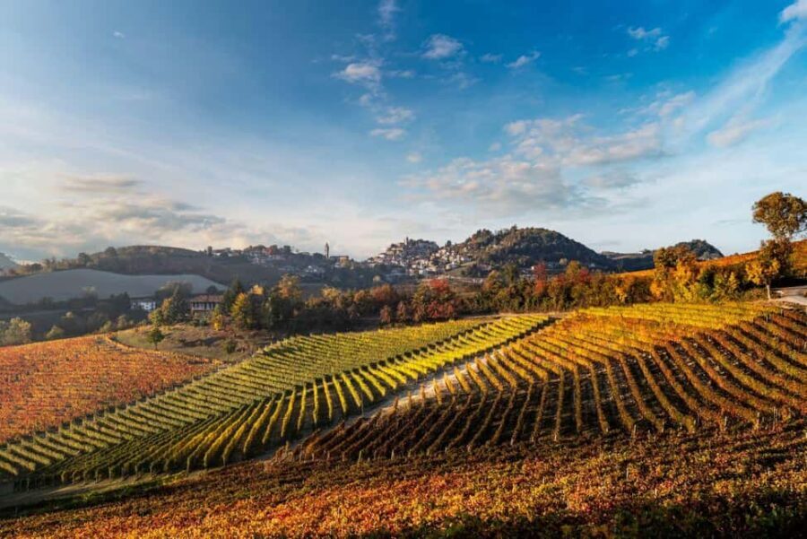 Il Monsù: A Journey through Nebbiolo, Barbaresco, and Barolo - Who will love this experience?