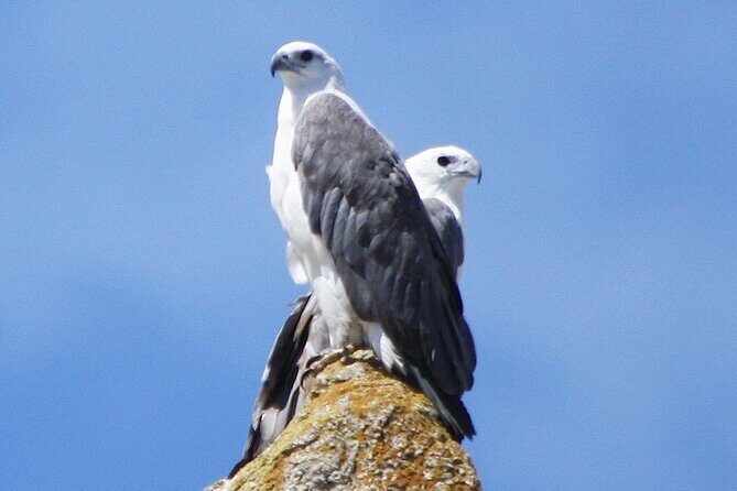 Ile Des Phoques and Maria Island Cruise and Walk Day Tour with Lunch - FAQ