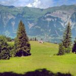 Interlaken: Scenic Walk and Raclette by the Mountain Lake - Who Will Love This Tour?