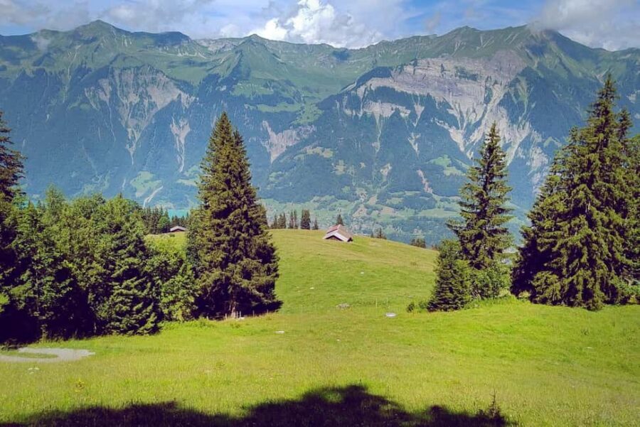 Interlaken: Scenic Walk and Raclette by the Mountain Lake - Who Will Love This Tour?