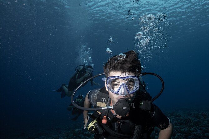 Introductory Scuba Diving Experience in Bora Bora - Analyzing the Value