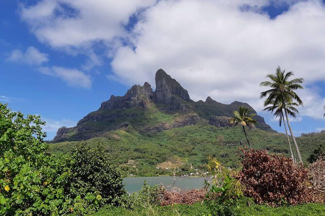 Island Tour & Getaway on the Bora Bora Mountains by Quad / ATV - Authentic Experiences and Guest Insights