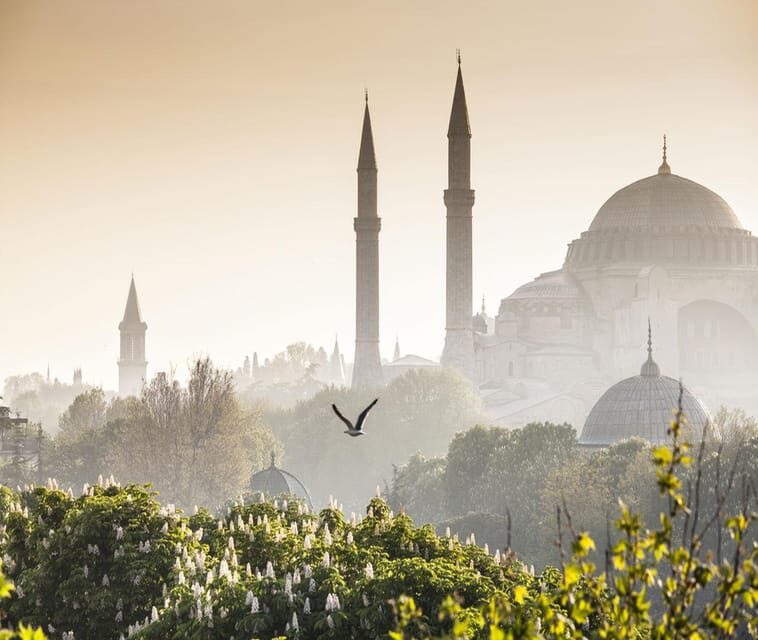 Istanbul: Luxury Istanbul Old City Private Day Tour - What to Expect: A Step-by-Step Breakdown