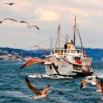 Istanbul: Private Bosphorus Cruise By Luxury Yacht - Authentic Reviews and Real Feedback