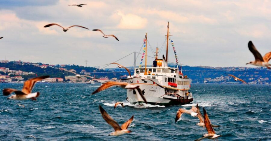 Istanbul: Private Bosphorus Cruise By Luxury Yacht - Authentic Reviews and Real Feedback