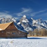 Jackson: Grand Teton, Bighorn Sheep, and Petroglyphs Tour - Detailed Breakdown of the Itinerary
