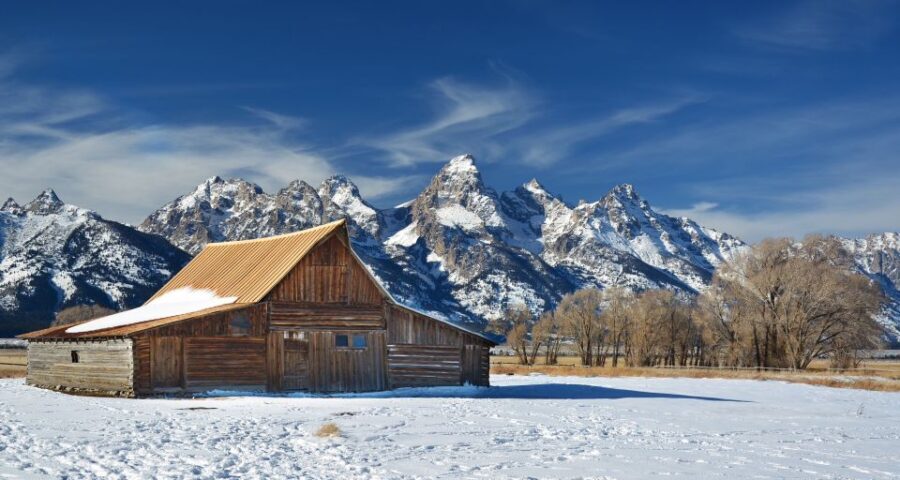 Jackson: Grand Teton, Bighorn Sheep, and Petroglyphs Tour - Detailed Breakdown of the Itinerary