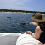 Jervis Bay Dolphin Cruise - The Value of the Jervis Bay Dolphin Cruise