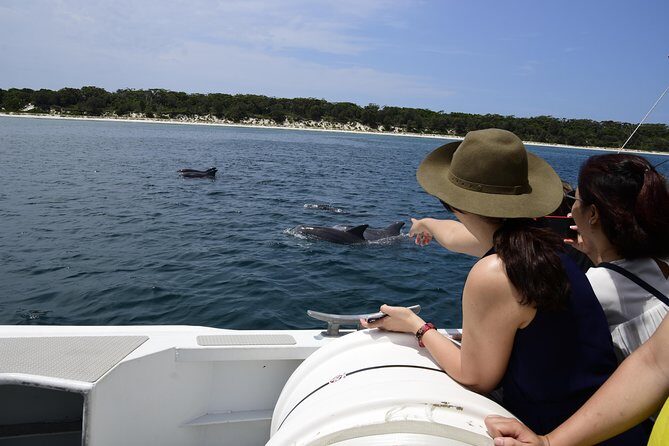 Jervis Bay Dolphin Cruise - The Value of the Jervis Bay Dolphin Cruise