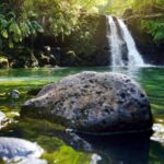 Kahului: Guided Rainforest and Waterfall Walk - Is It Worth the Price?