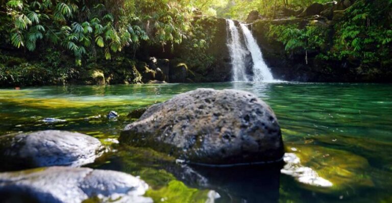 Kahului: Guided Rainforest and Waterfall Walk - Is It Worth the Price?