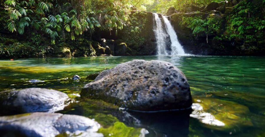 Kahului: Guided Rainforest and Waterfall Walk - Is It Worth the Price?