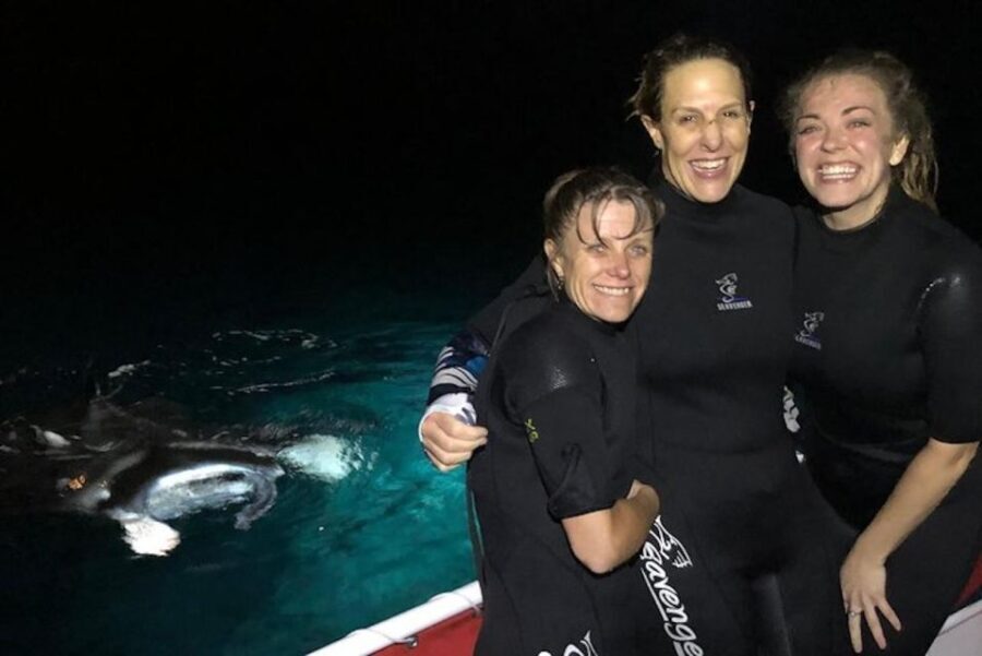 Kailua-Kona: Manta Ray Spotting Night Snorkeling Tour - The Value of This Tour