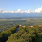 Kakheti: wine region and free wine tasting - Authentic Experiences That Keep Guests Coming Back