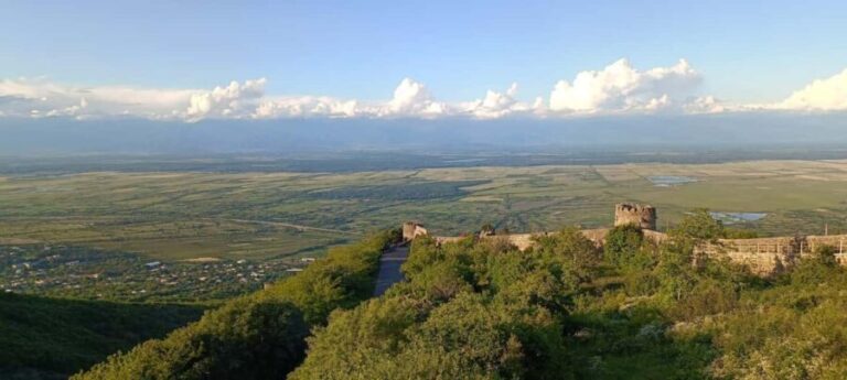 Kakheti: wine region and free wine tasting - Authentic Experiences That Keep Guests Coming Back