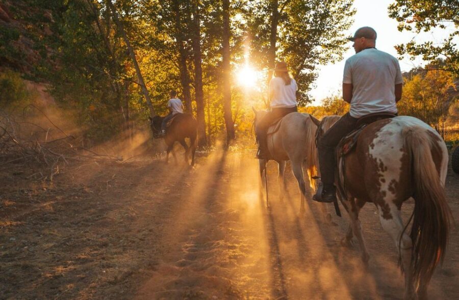 Kanab: Cave Lakes Canyon Horseback Riding Experience - Why This Tour Is Worth Considering