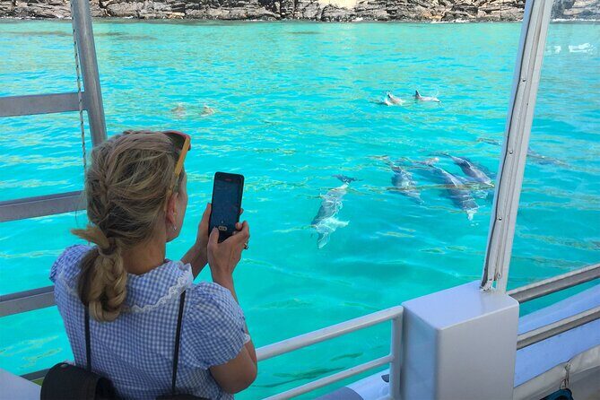 Kangaroo Island 75-Minute Coastal Safari - The Experience’s Practicalities