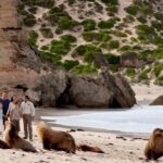 Kangaroo Island Scenic Nature and Wildlife Day Tour - Who Will Love This Tour?