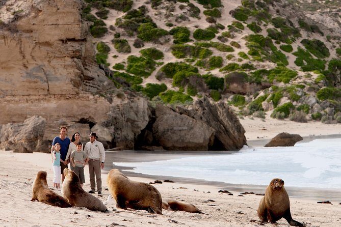 Kangaroo Island Scenic Nature and Wildlife Day Tour - Who Will Love This Tour?