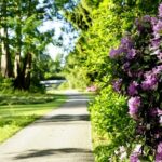 Kassel: Ready for the island?! Karlsaue and Siebenbergen in the scent of spring - Practical Tips and Considerations