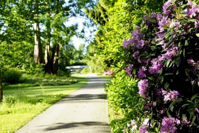 Kassel: Ready for the island?! Karlsaue and Siebenbergen in the scent of spring - Practical Tips and Considerations