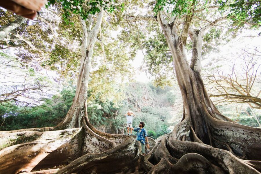 Kauai: Allerton Garden Guided Group Walking Tour - Who Would Enjoy This Tour?