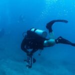 Kauai: Twilight/Night Shore Dive Experience - Why This Tour is Worth the Cost