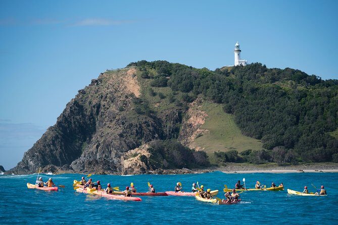 Kayaking with Dolphins in Byron Bay Guided Tour - Final Thoughts