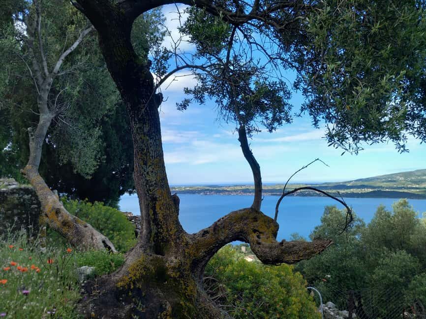 Kefalonia: Old Farsa Village Morning Walking Tour - The Post-Tour Refreshment
