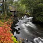 Ketchikan Photo Safari - The Itinerary in Detail